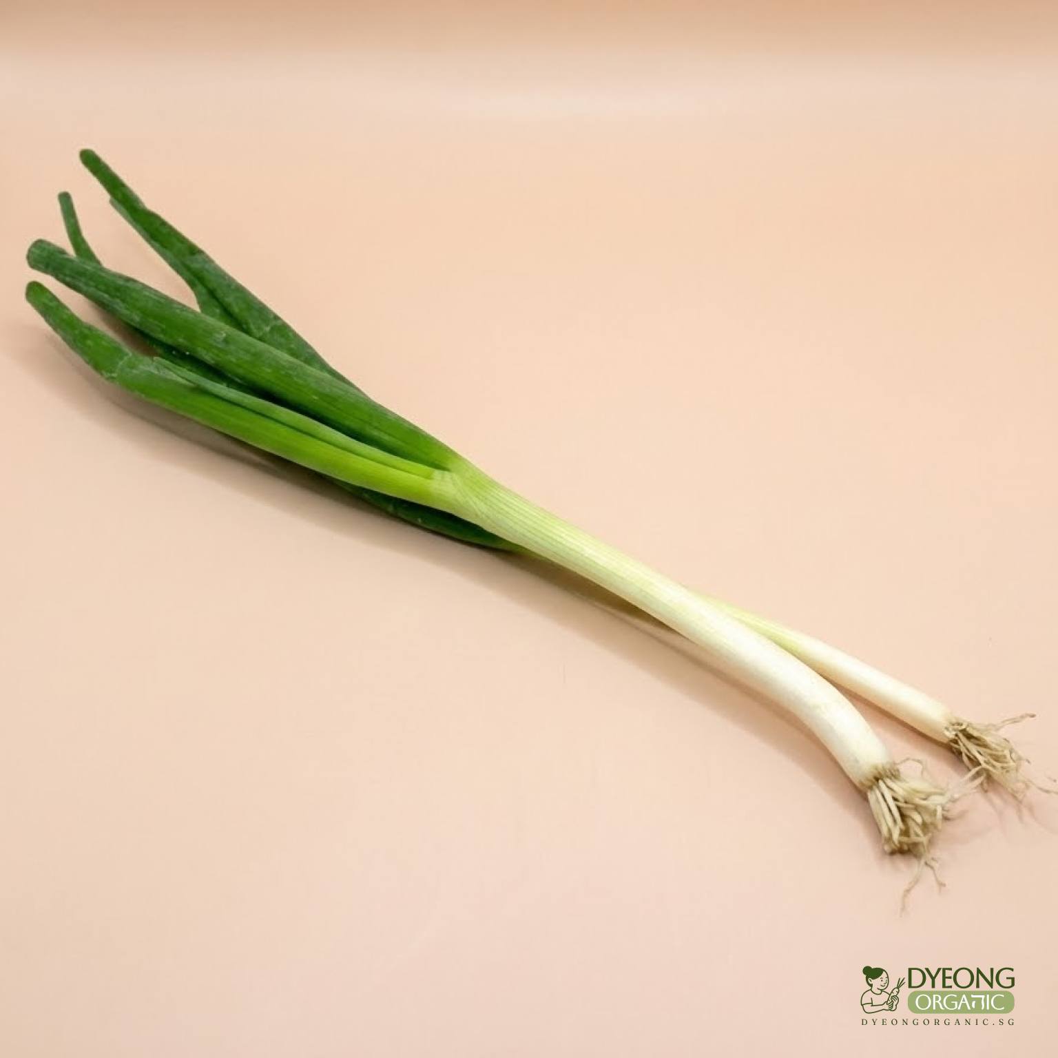 Organic Spring Onions (100g) Australia - Dyeong Organic