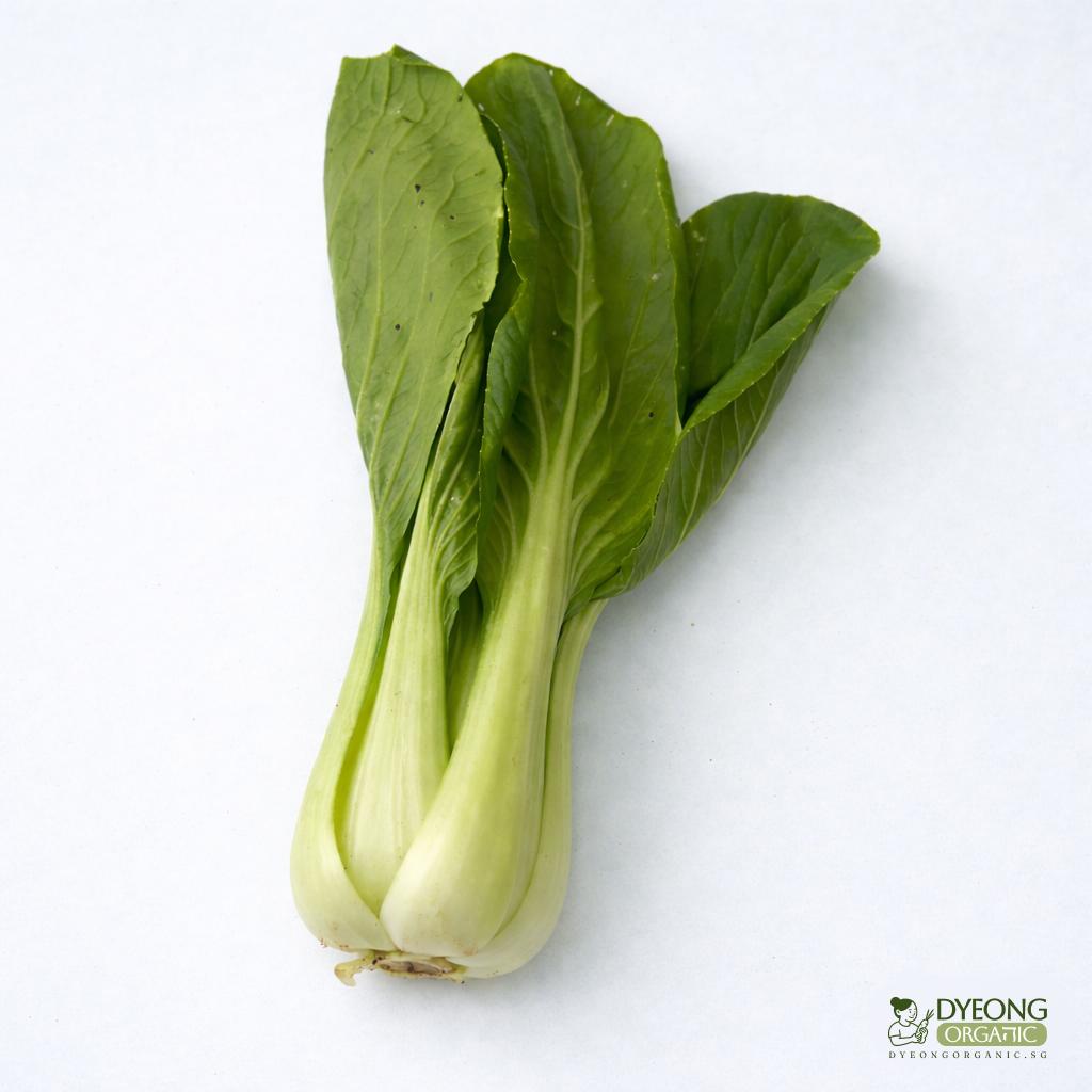 Organic Asian Greens - Pak Choy (1 stem) Australia - Dyeong Organic