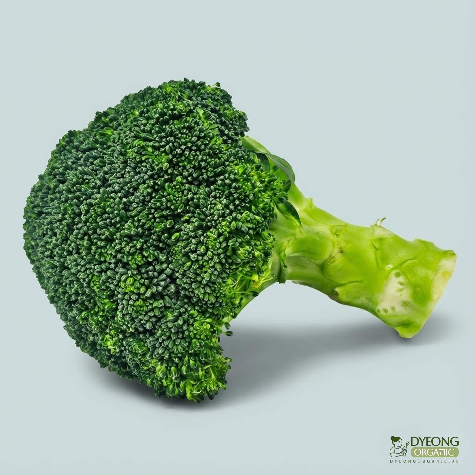 Organic Broccoli (each) Australia - Dyeong Organic