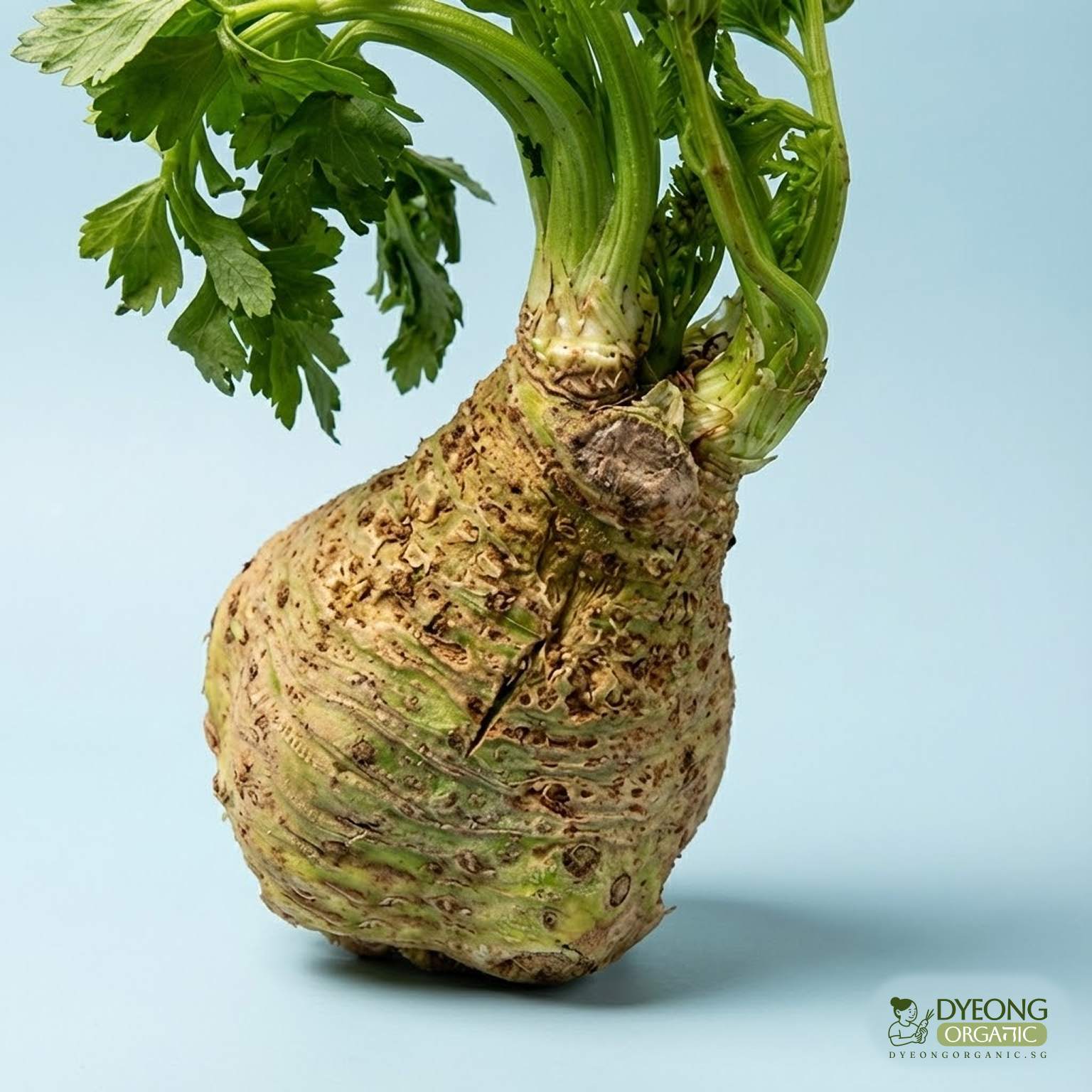 Organic Celeriac (250g) Australia - Dyeong Organic