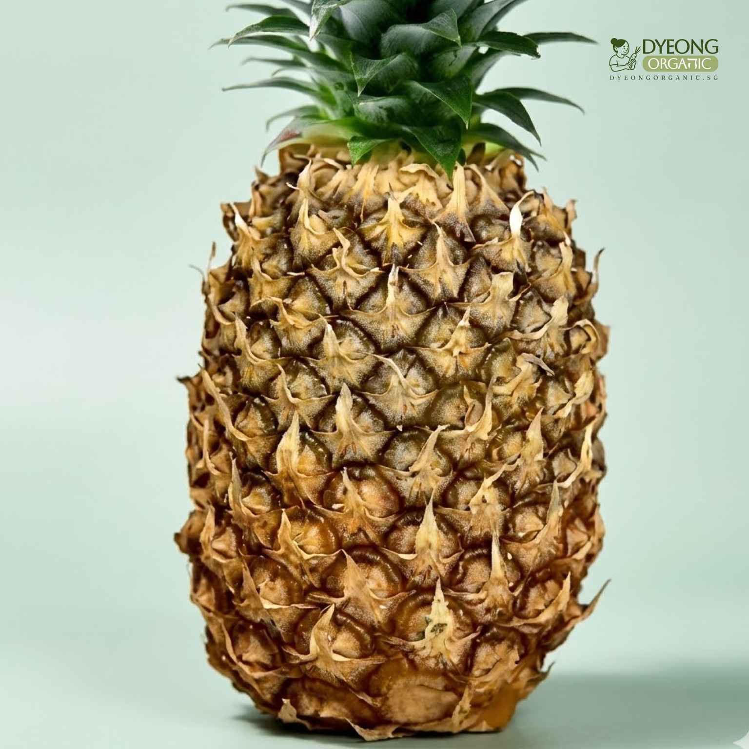 Organic Pineapple (each) Australia - Dyeong Organic